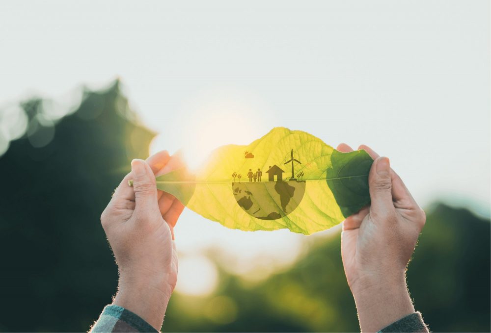 Por que a transparência é tão importante no contexto ESG? - Moore